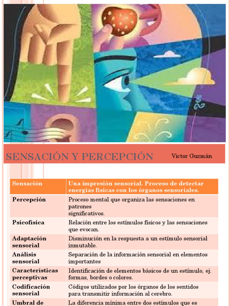Sensación y Percepción-1 | PDF | Las emociones | Percepción