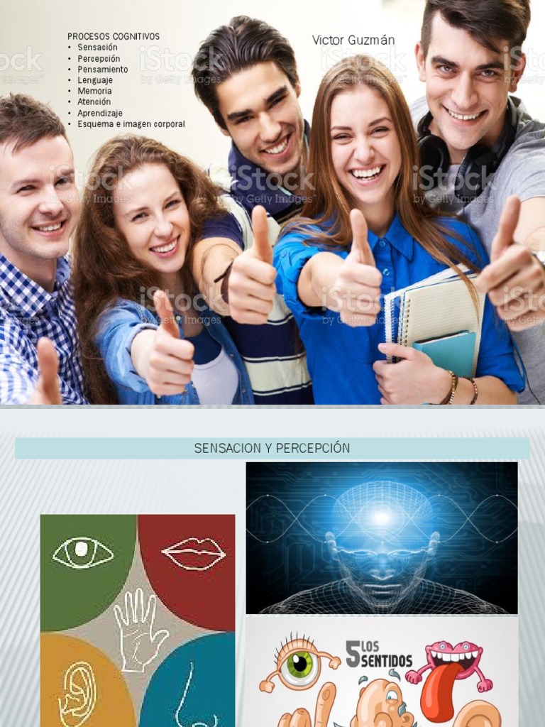 Procesos Cognitivos Pdf Las Emociones Percepción