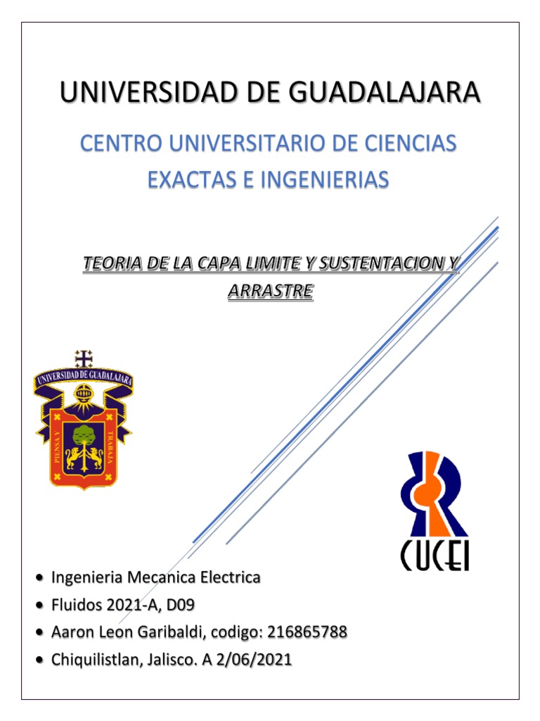 Teoria de La Capa Limite y Sustentacion y Arrastre | PDF | Capa límite ...