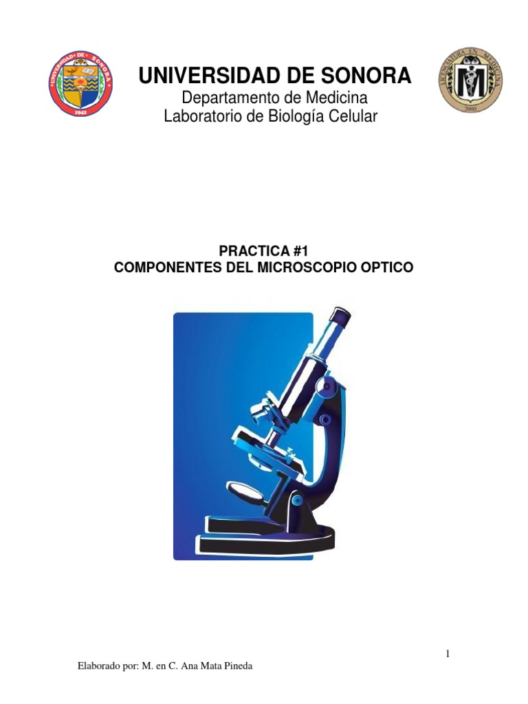 Practica 1, Manejo y Uso Del Microscopio | PDF | Tinción | Microscopio