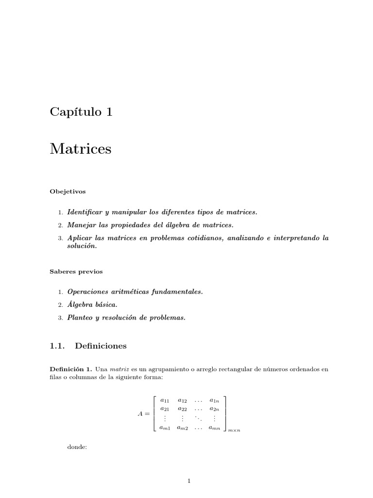 1 - Matrices Teoría | PDF | Matriz (Matemáticas) | Determinante