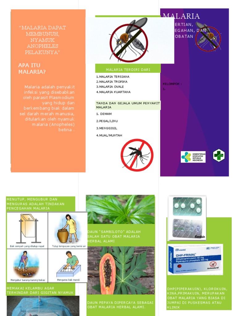 Brosur Malaria Pdf