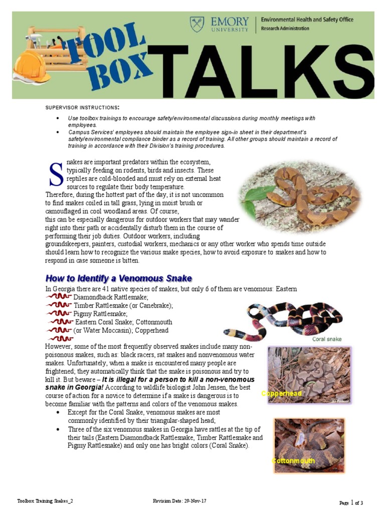toolbox-training-snakes | PDF | Rattlesnake | Snake