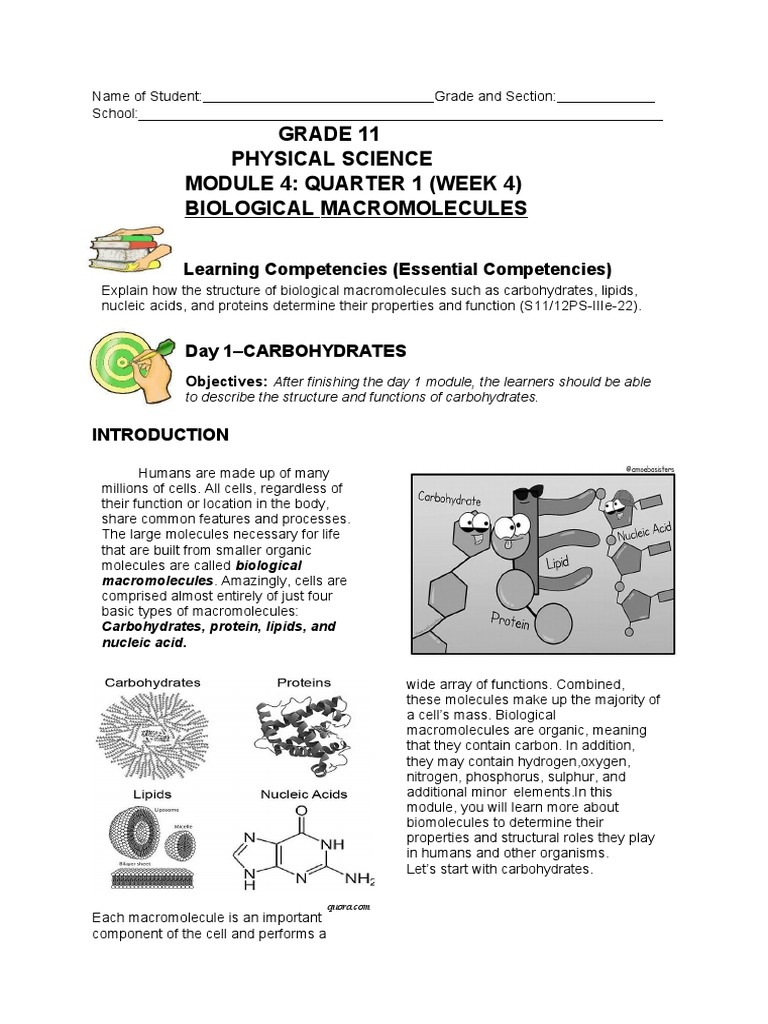 1Q - Week 4 Physical Science | PDF | Carbohydrates | Rna 1Q - Week 4 Physical Science | PDF | Carbohydrates | Rna