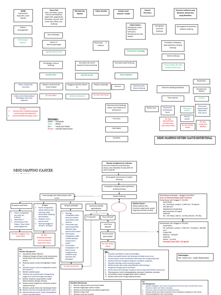 Dokumen - Tips Mind Mapping Kanker Lambung | PDF