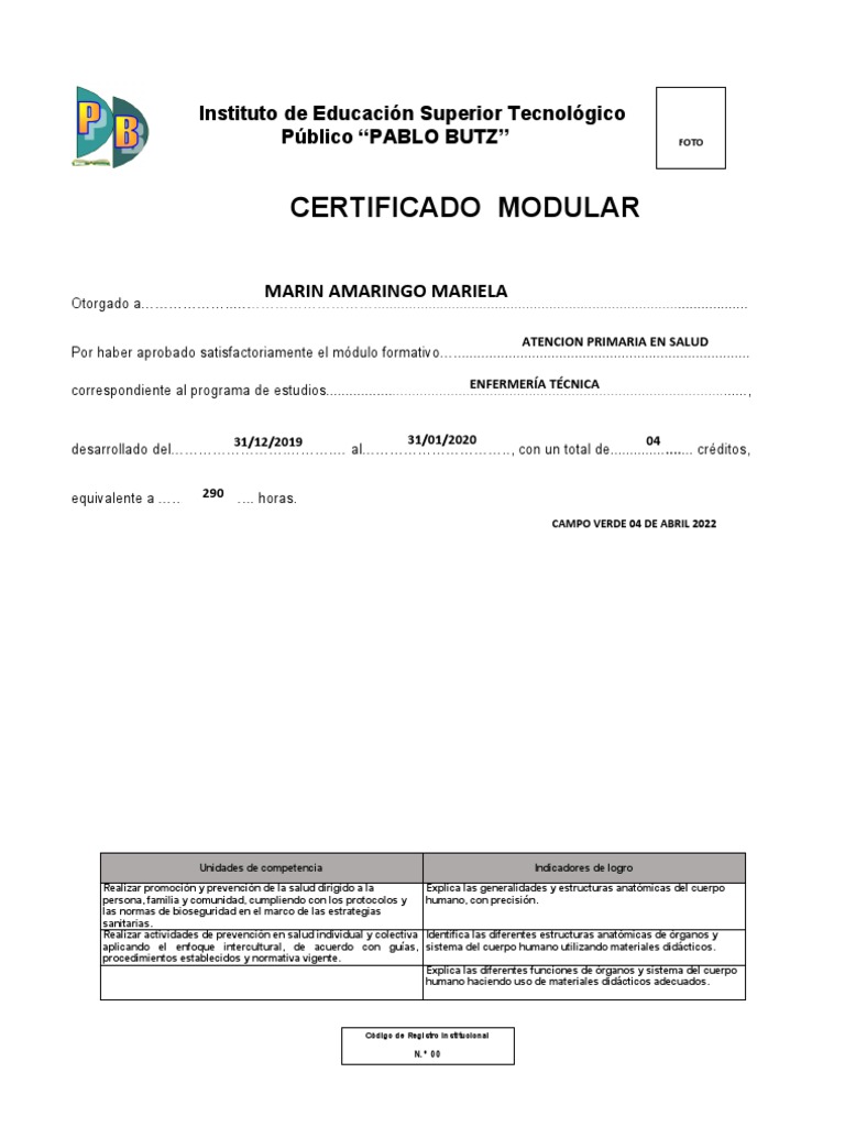 Certificado Modular Mariela | Descargar gratis PDF | Enfermería | Ciencias de la Salud