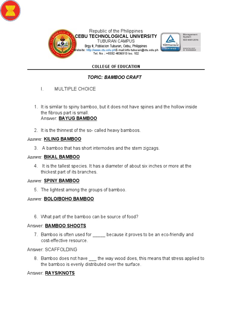 Bamboo Craft Questionnaire | PDF