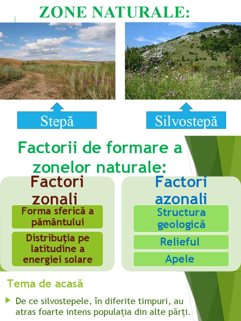 Zona de Stepa | PDF