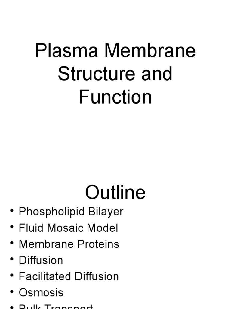 Cell Membrane and Active Transport | PDF | Cell Membrane | Osmosis