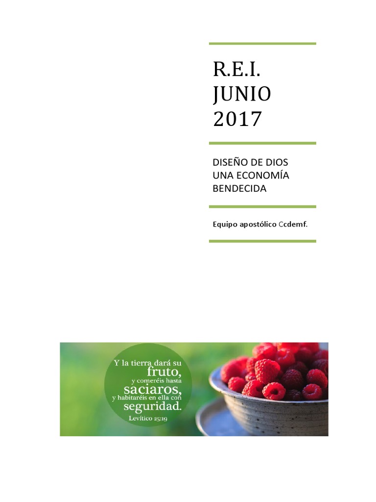 Material Rei 2016 Junio | PDF