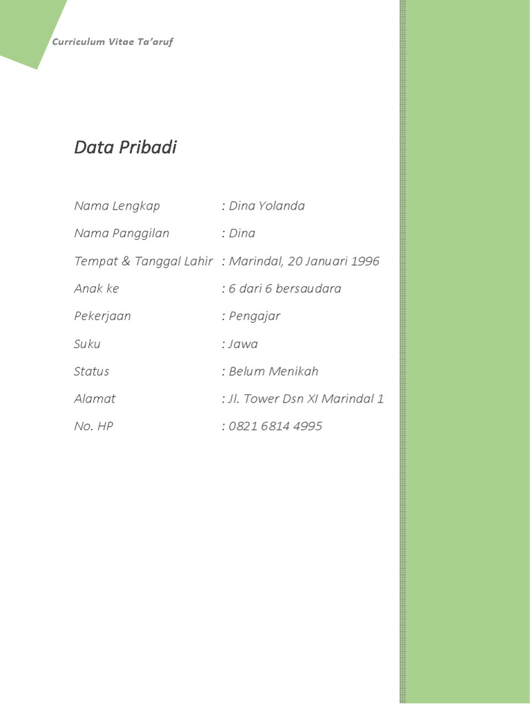 Curriculum Vitae Taaruf Dina | PDF