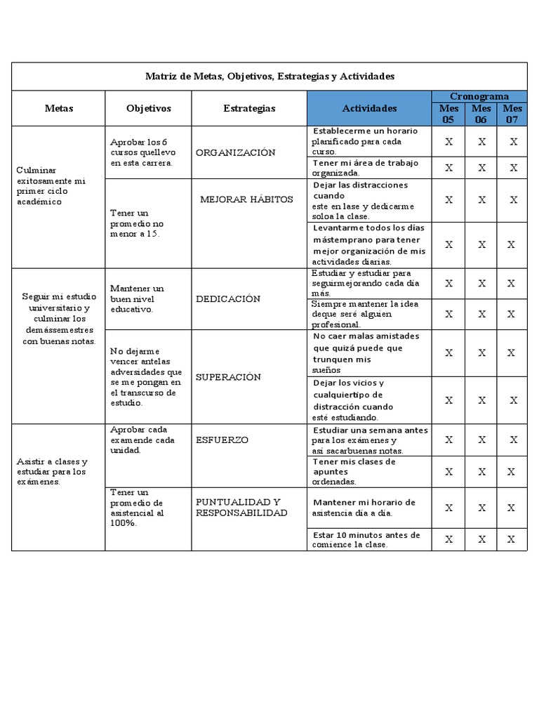 Matriz de Metas | PDF