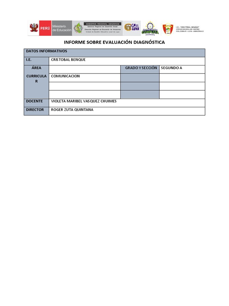 Informe Evaluacion Diagnostica | PDF | Evaluación | Aprendizaje