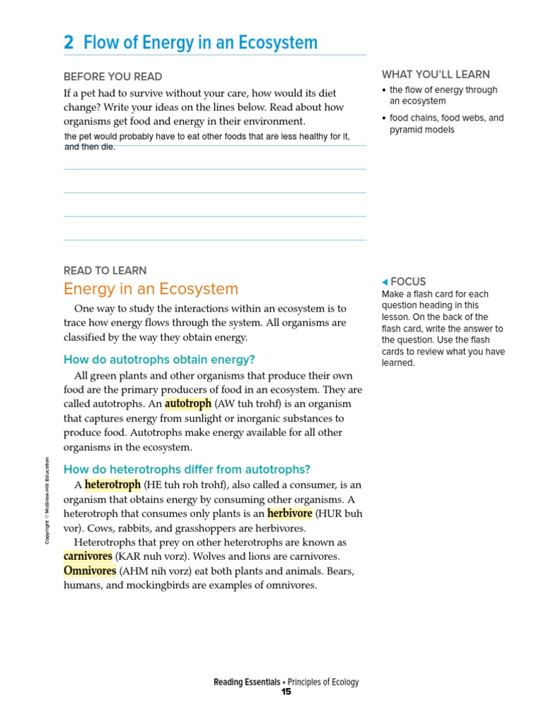 2 Flow of Energy in An Ecosystem | PDF | Food Web | Ecology