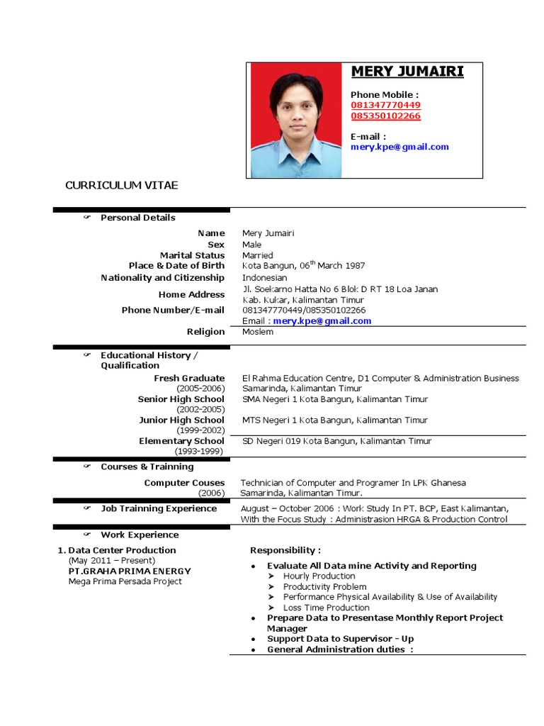 CV Mery | PDF | Computing