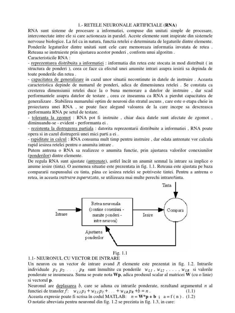 Retele Neuronale | PDF