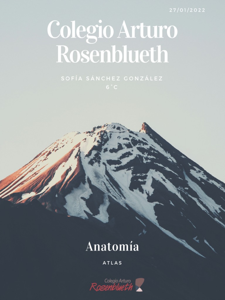 Atlas de Anatomía | PDF