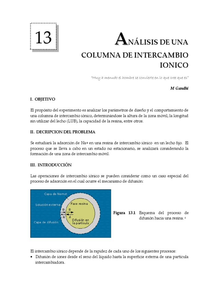 Manual de Intercambio Iónico | PDF | Ácido | Adsorción