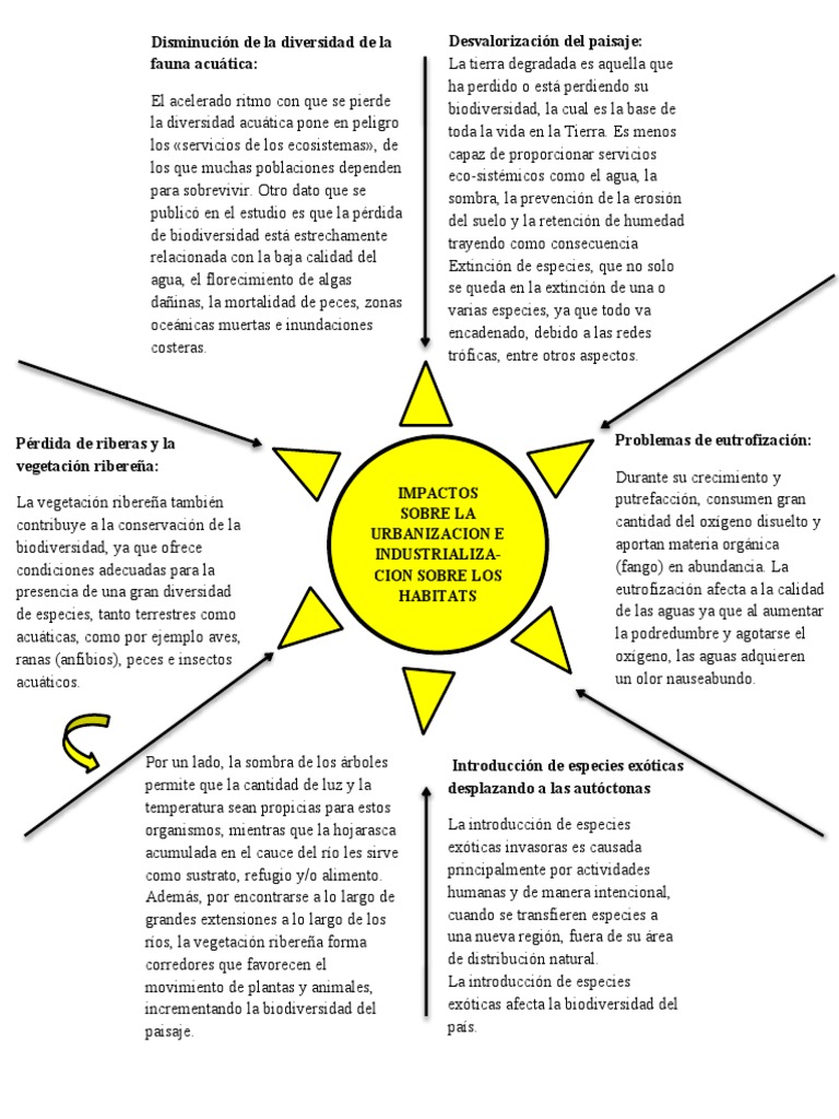 Mapa Sol 2 | PDF | Biodiversidad | Suelo