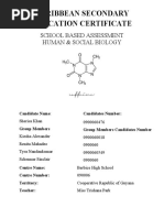 Football Coaching SBA Report | PDF | Physical Education | Association ...