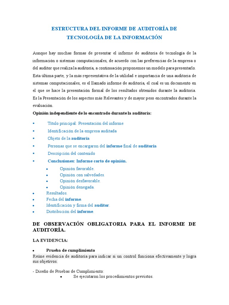 Informe de Auditoría TI: Estructura y Requisitos | PDF | Auditoría