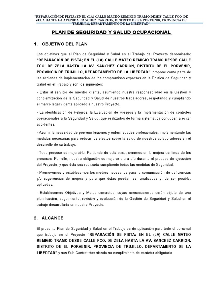 Plan de Seguridad y Salud en Obra | PDF | Seguridad y salud ocupacional | Valores