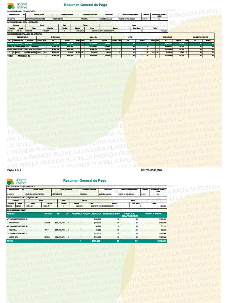Planilla Seguridad Social-1 | Descargar gratis PDF | Servicios financieros | Pensión
