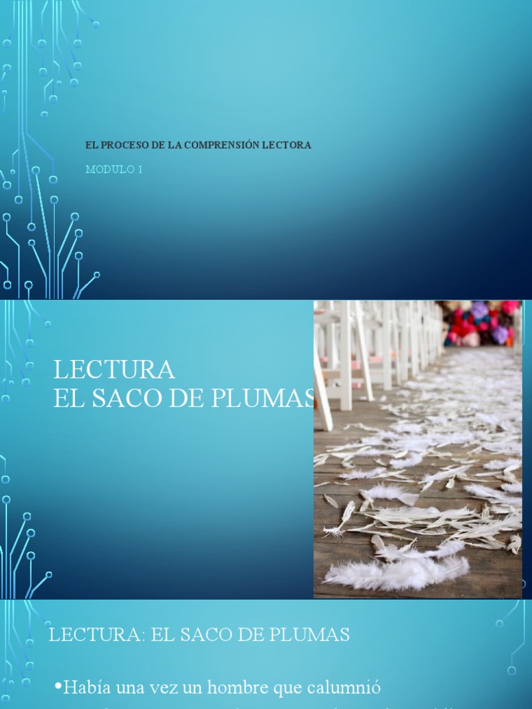 El Proceso de La Comprensión Lectora | Descargar gratis PDF ...
