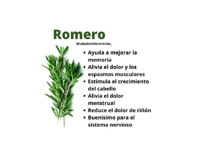 Planta Romero | PDF