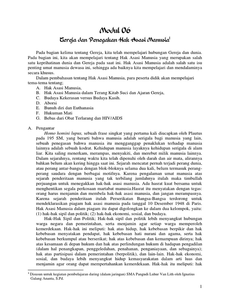 Modul 06 Hak Asasi Manusia | PDF | Politik