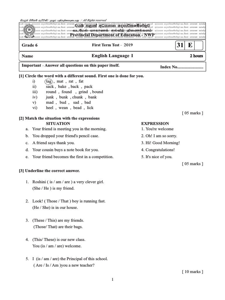 Grade 6 - English - First Term 2019 | PDF