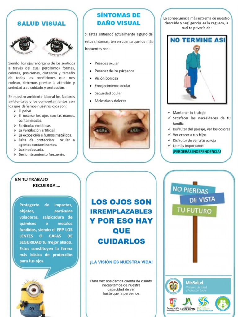 Salud Visual | PDF