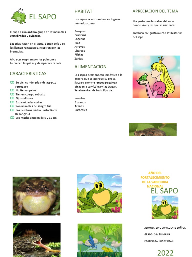 El Fascinante Mundo De Los Sapos Pdf