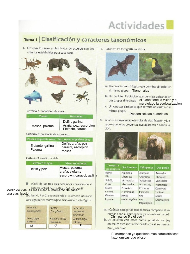 Taxonomía Actividad Complementaria | PDF