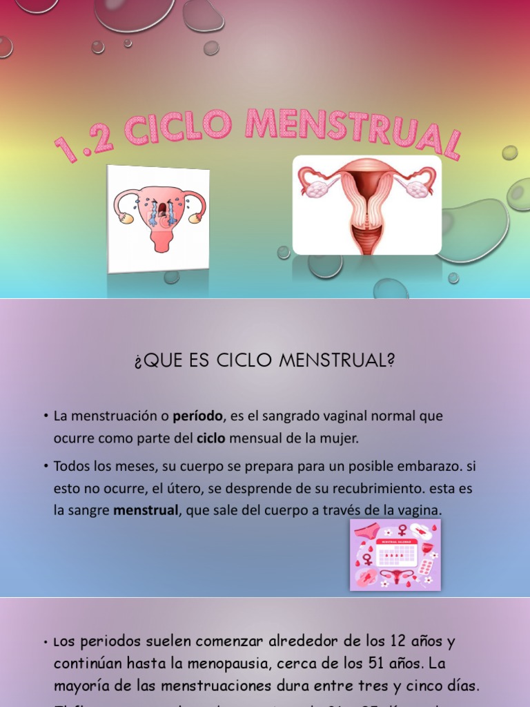 Ciclo Menstrual | PDF | Menstruación | Ciclo menstrual