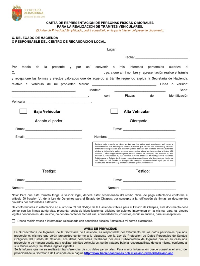 Carta de Representación | PDF | Privacidad | Gobierno