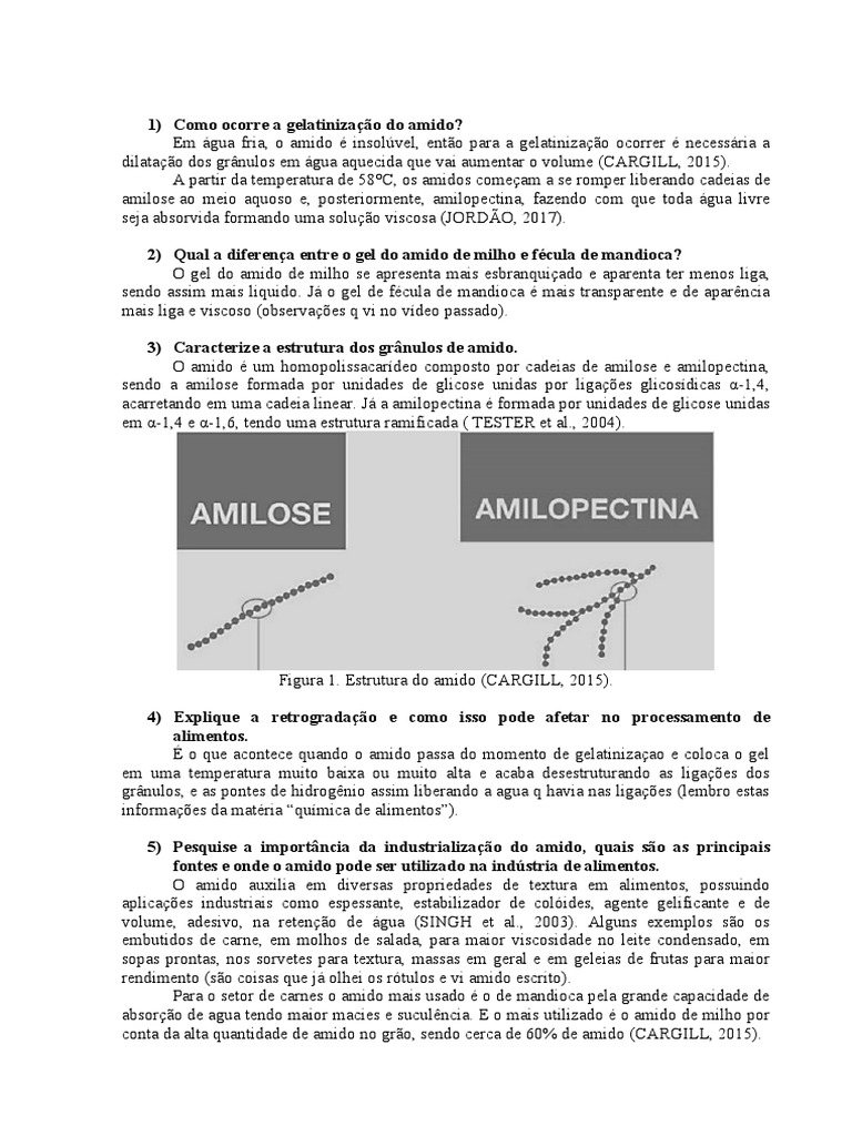 Amido | PDF | Amido | Química