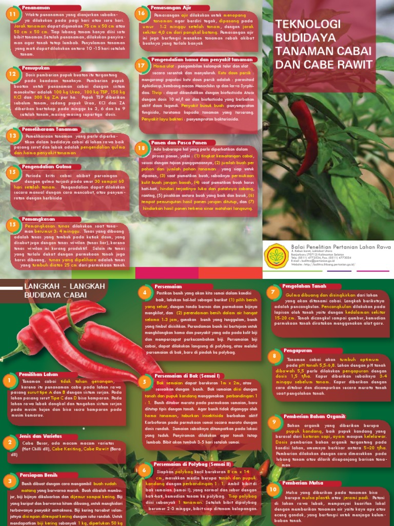 Brosur Cabai | PDF | Griya & Taman