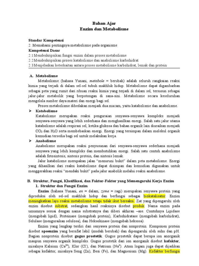 Enzim dan Proses Metabolisme | PDF | Sains & Matematika
