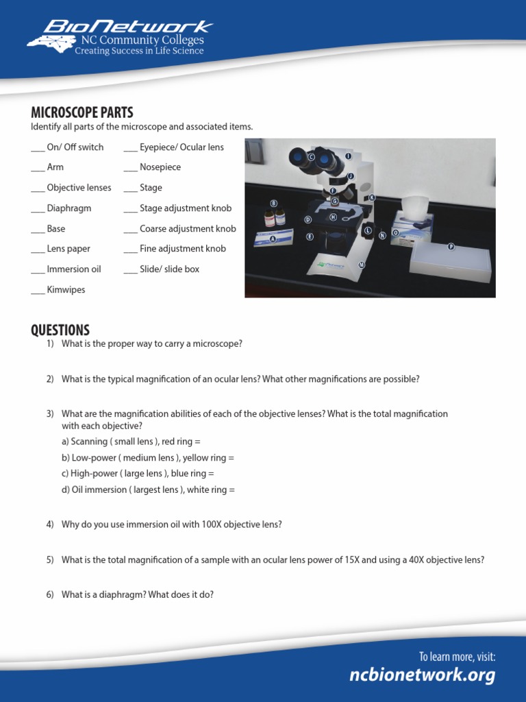 Lab Sheet | PDF