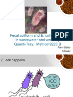 Colilert - 18 E-Coli Detection Manual | PDF | Microbiology | Bacteria
