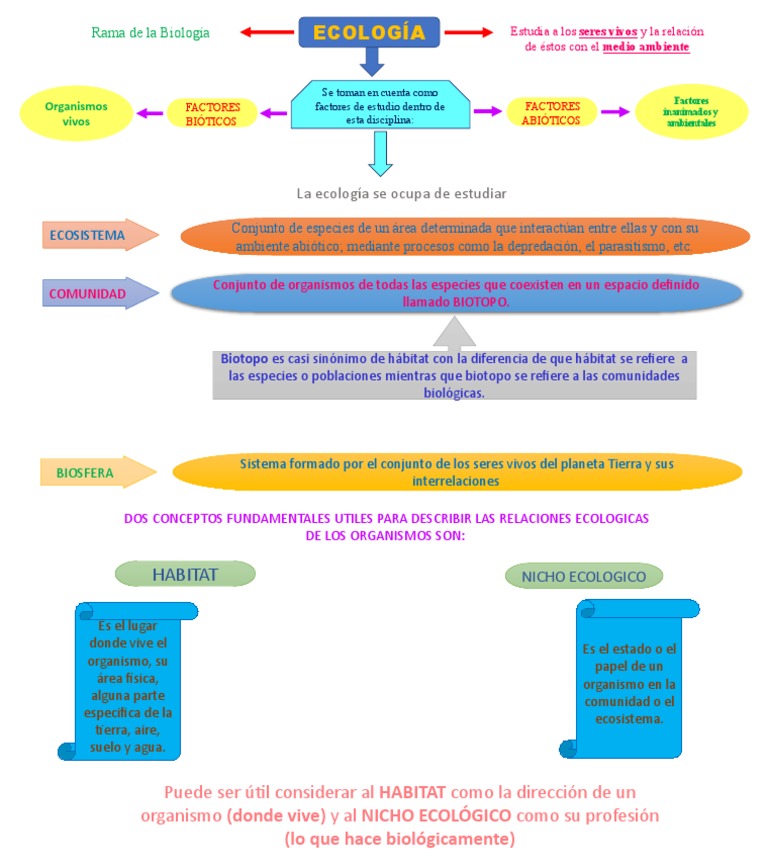 Ecologia Conceptos Basicos | PDF | Ecología | Habitat