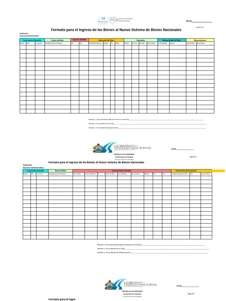 Formato Actualizacion de Inventario 2022 | PDF