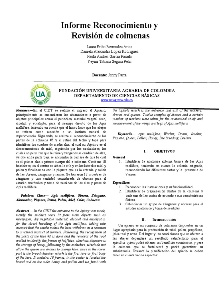 Informe Reconocimiento Y Revisión De Colmenas Pdf Western Honey Bee