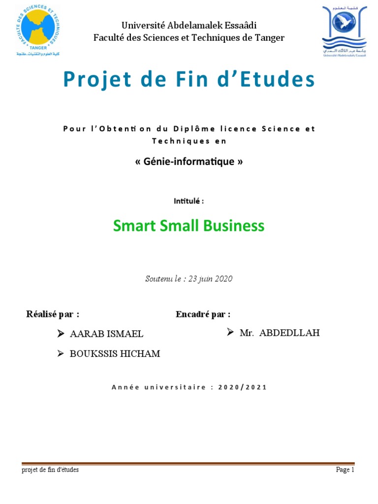 Pfe (Final) | PDF | Business | Informatique