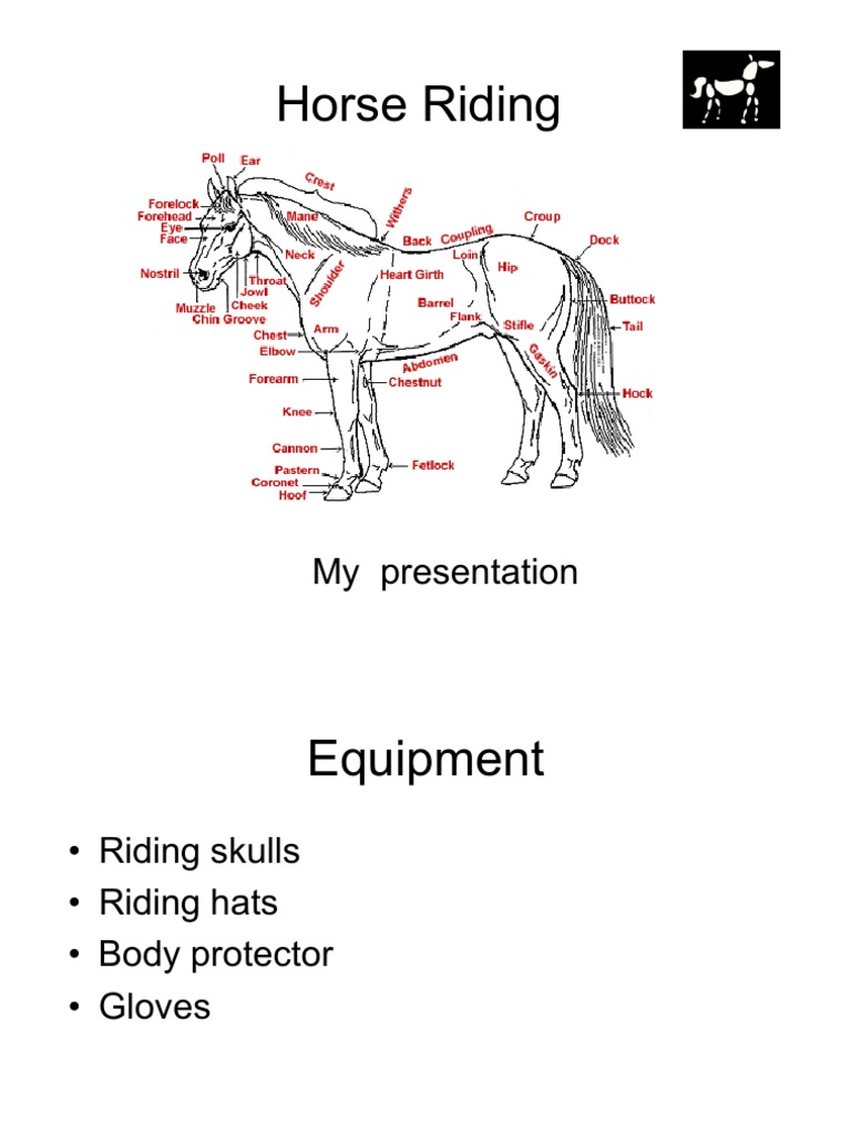 Horse Riding | PDF