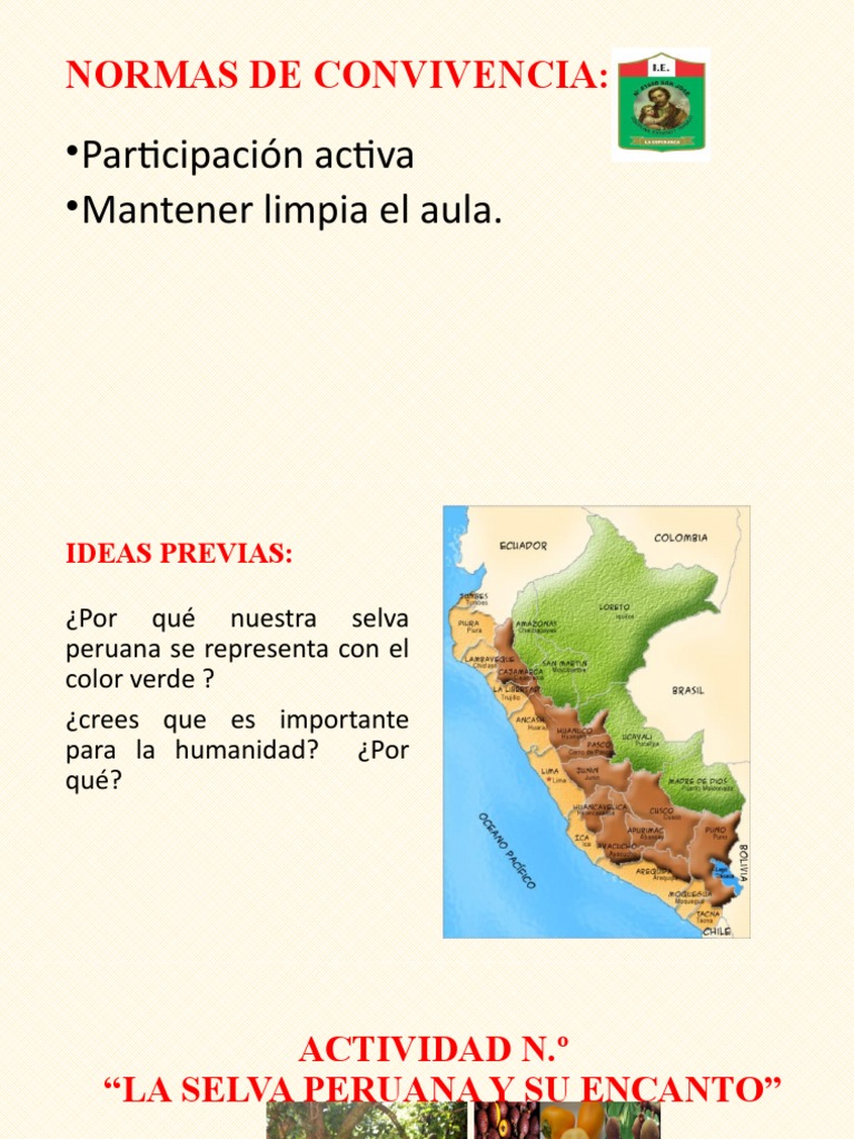 Region Selva | PDF | Selva amazónica | Perú