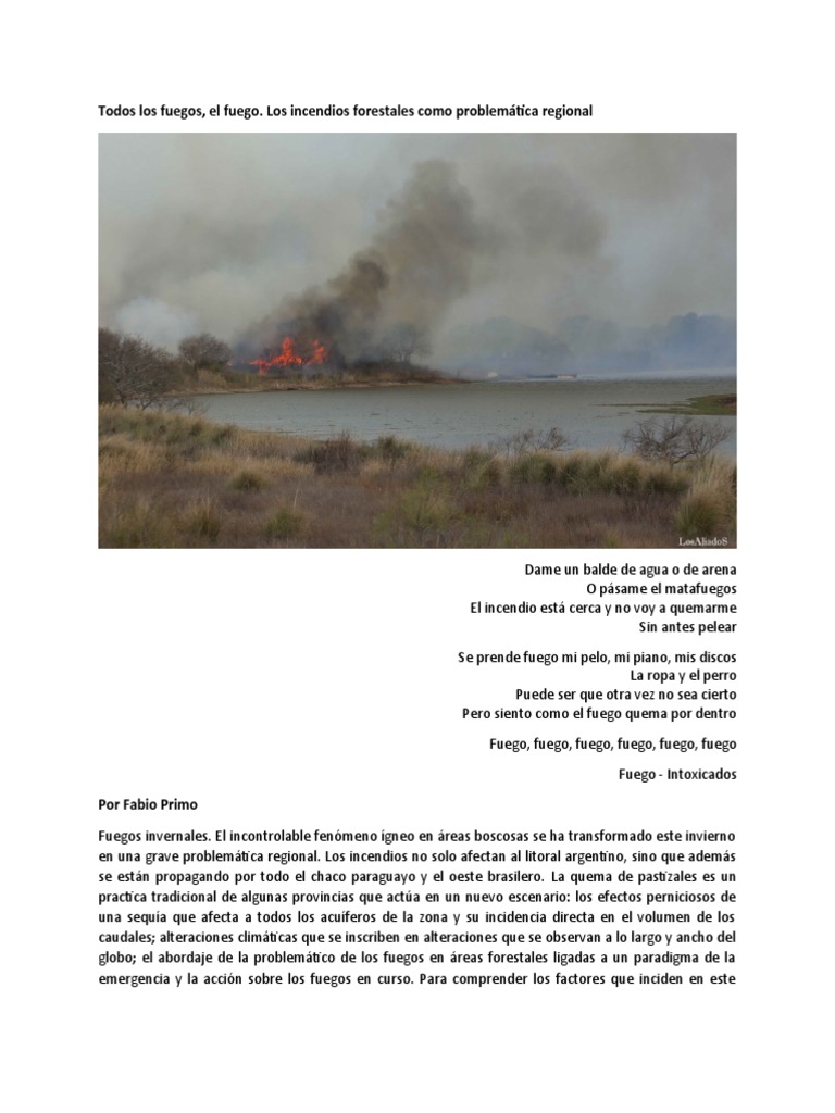 América Latina Bajo Fuego | PDF | Incendios | Fuego fatuo
