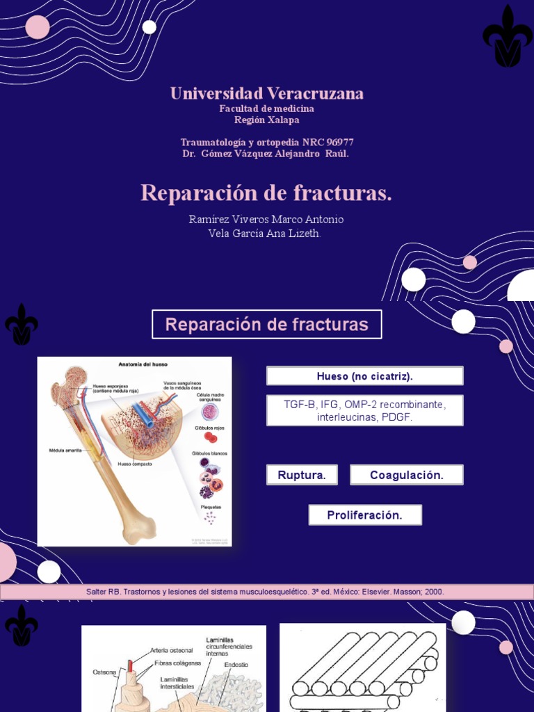 Reparación de Fracturas | PDF | Hueso | Medicina CLINICA
