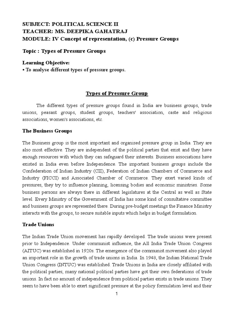 Pressure Group | PDF | Advocacy Group | Trade Union